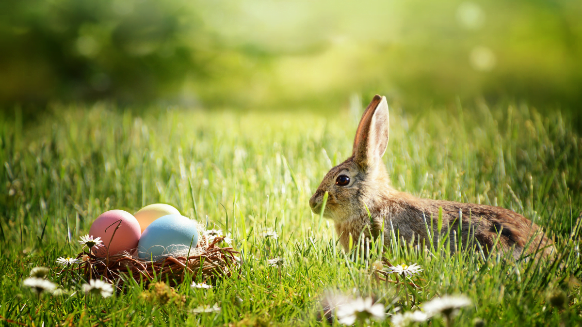 A Family-Friendly Guide to Celebrating Easter in Rome with Kids in 2024 ...